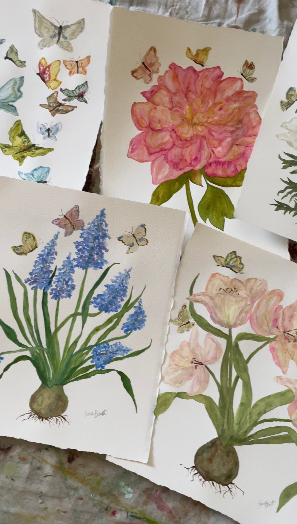 Botanical Metamorphosis – Tara Burt Designs